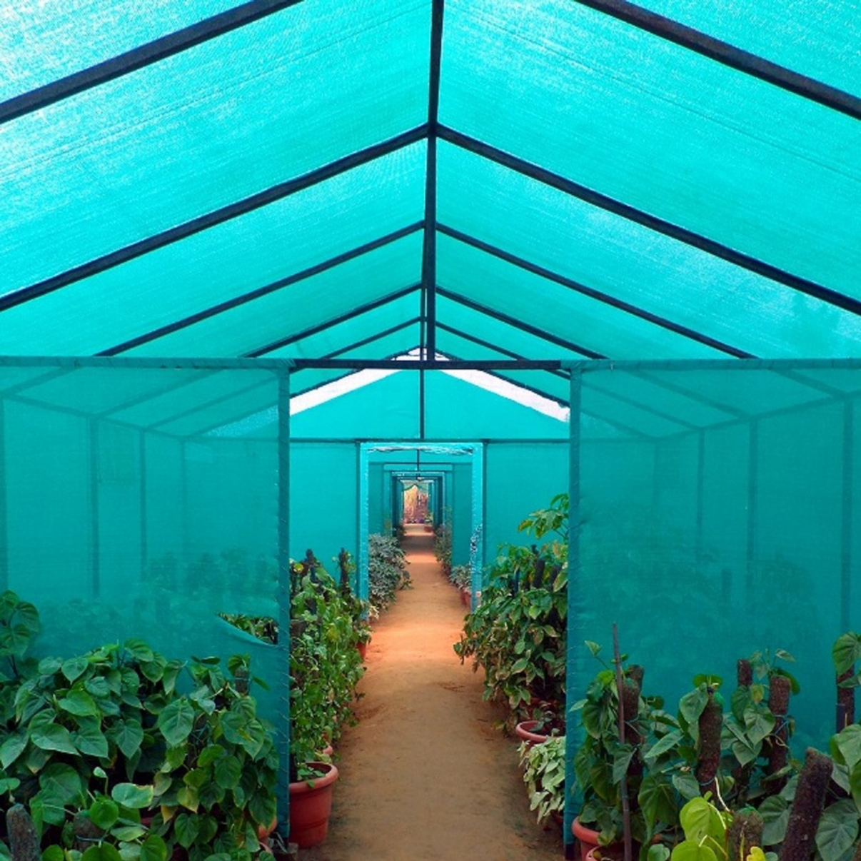 Shade Net ! 50% Shade ! (3m x 5m) Greenhouse UV Stabilized Net ! – ONLY ...
