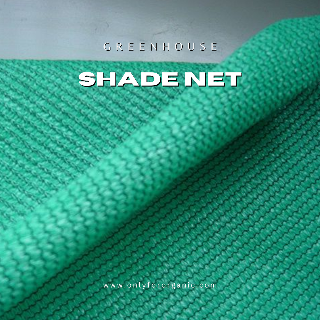 Shade Net ! 50% Shade ! (3m x 5m) Greenhouse UV Stabilized Net ! – ONLY ...