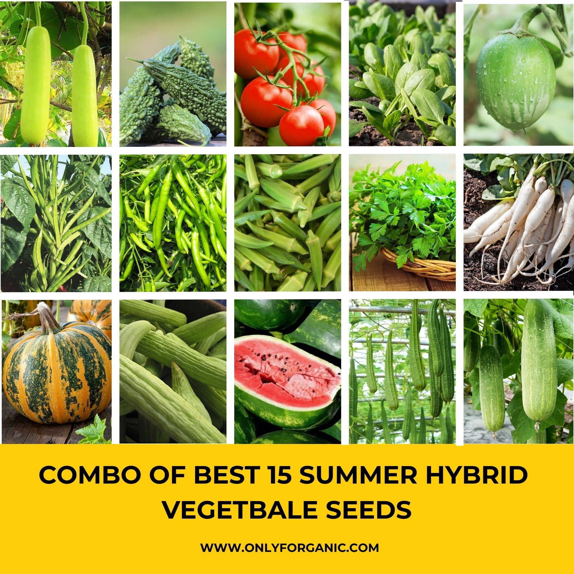 Summer Hybrid Vegetable Seeds With Instruction Manual ( Pack of 15 Var ...