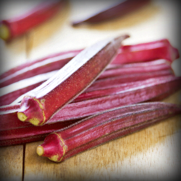 Hybrid Red Lady Finger Seeds - 20 Seeds – ONLY FOR ORGANIC